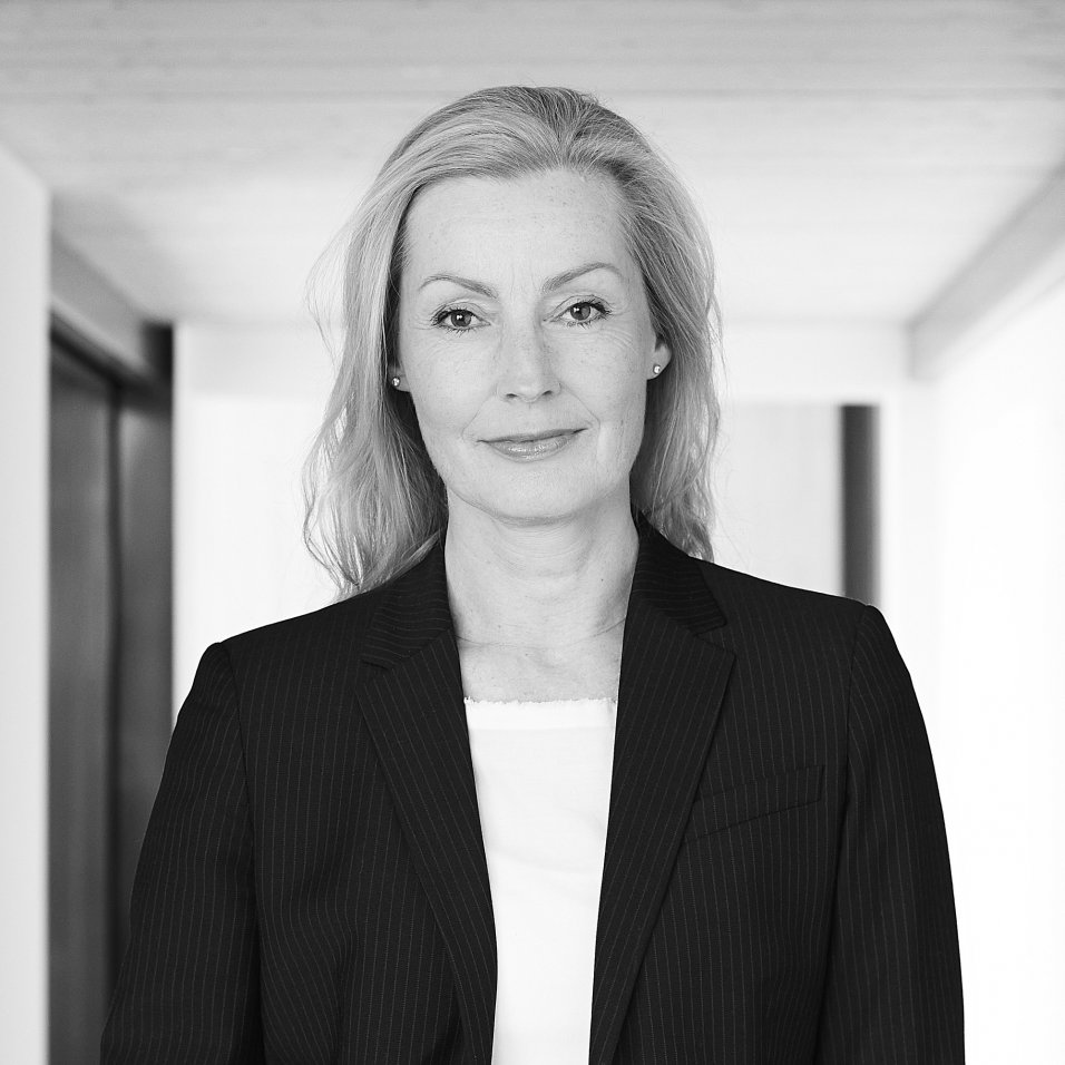 Anna von Bismarck - Metaplan