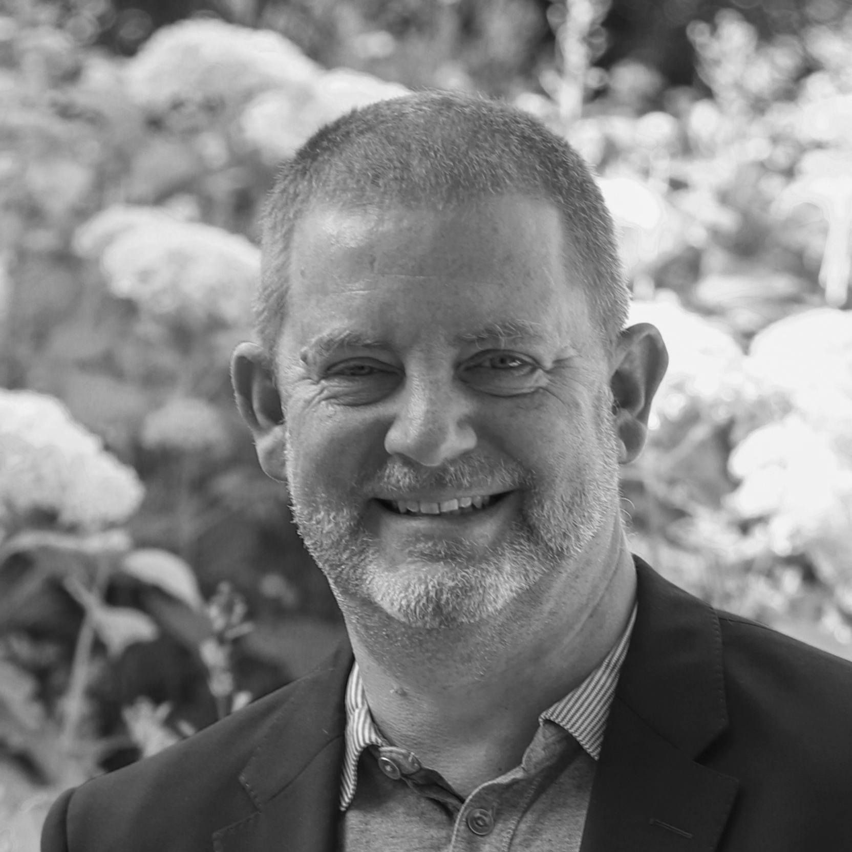 Dr. Michael Streng - Metaplan