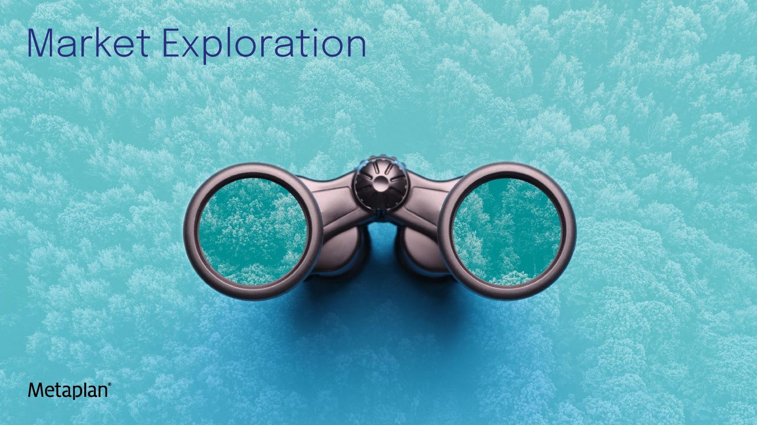 Consulting Products - Metaplan