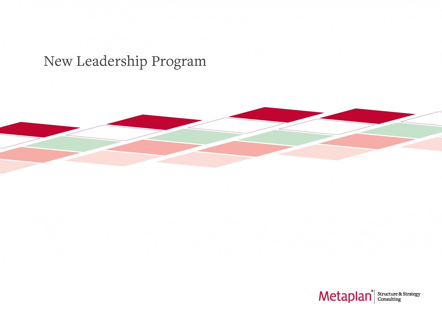 Consulting Products - Metaplan