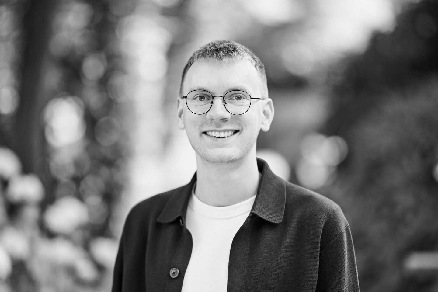 Louis Walz - Metaplan